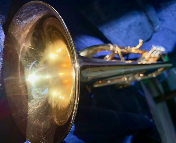 Getzen Genesis – 3003D Custom Series | Heavy Bracing | SN/ 639388 ...